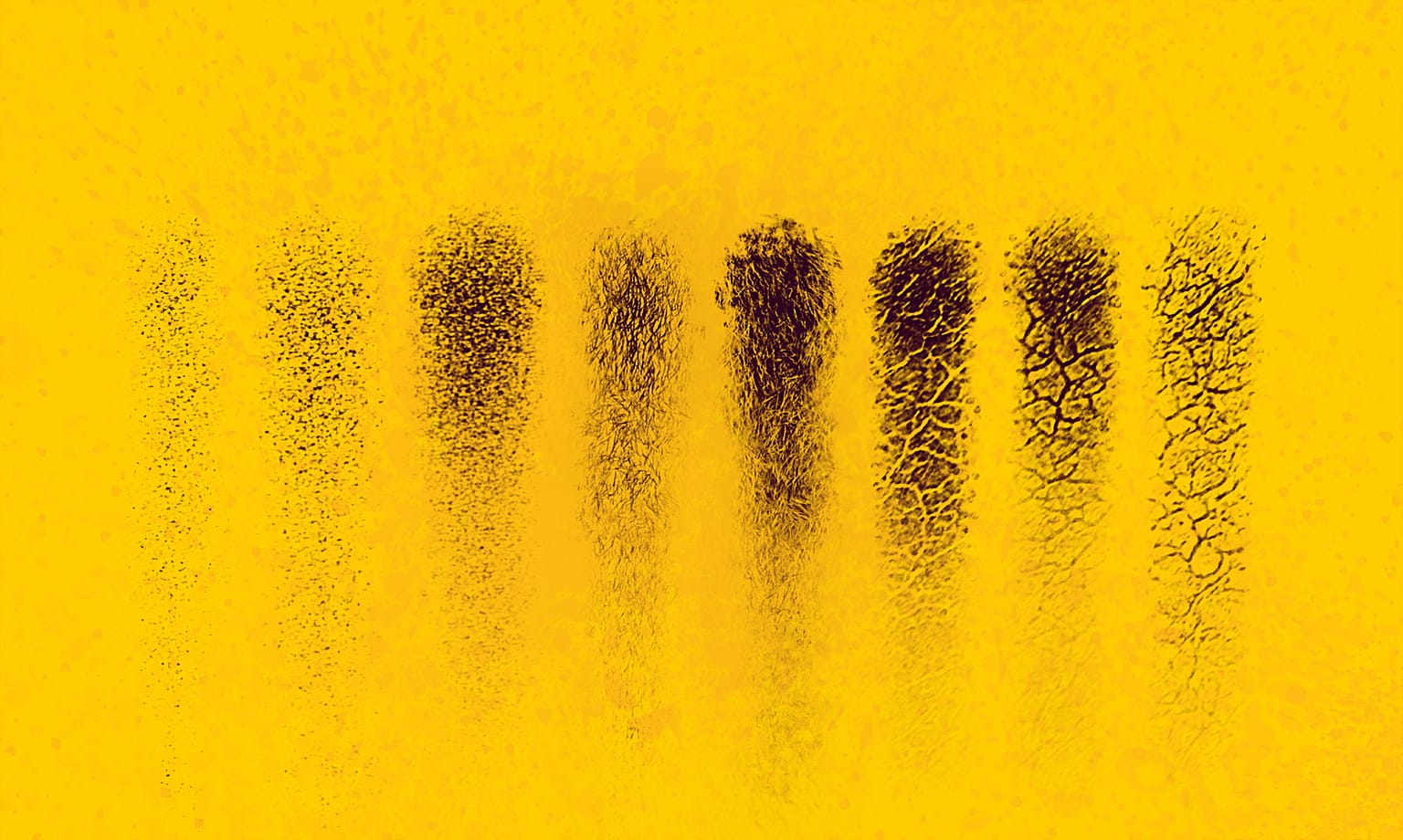 Design School - Frankentoon Studio