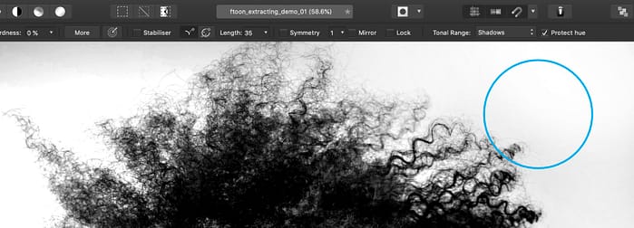 Extracting complex images with Affinity Photo - Frankentoon Studio
