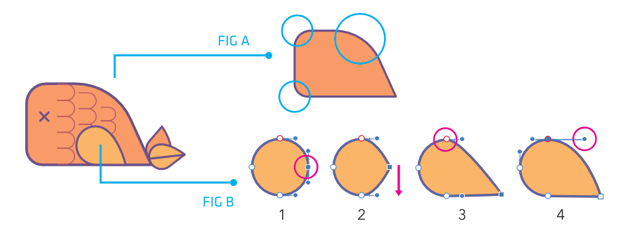 Create a funny pirate in Affinity Designer - Frankentoon Studio